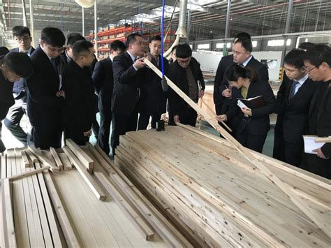 兔宝宝木门，新年新起点