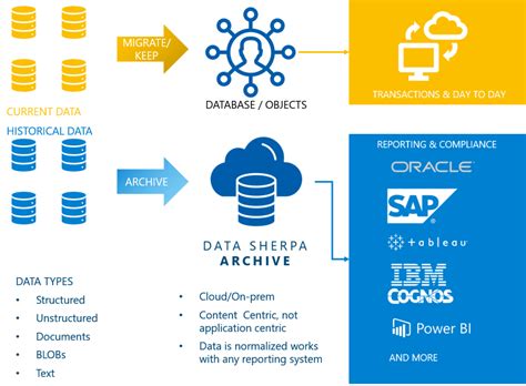 Data Archiving The Silicon Partners