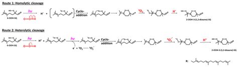 Novel Photoinduced Squalene Cyclic Peroxide Identified Detected And