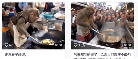 Python应用报错runtimeerror Cuda Error Invalid Device Ordinal设备序号无效 诺瓦小站