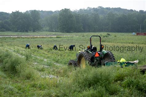 Our Soil Testing Project With Cornell University
