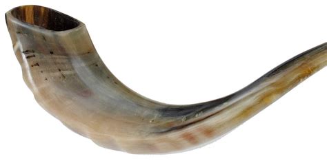 Should Reform Temples Blow Shofar On Shabbat