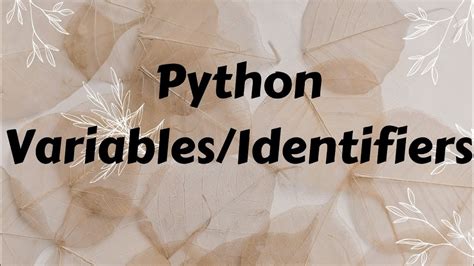 Python Variables Identifiers Global Variables Local Variables
