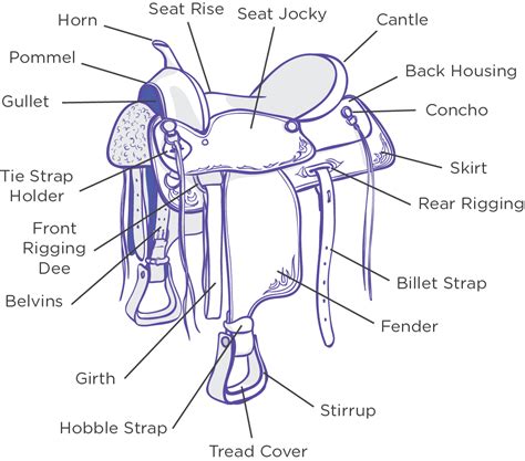 Parts Of A Saddle At Ruth Jefferson Blog