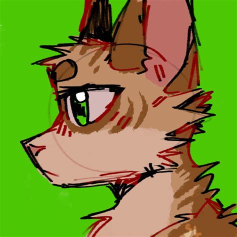 Pomysły Z Tablicy 𝚆𝚊𝚛𝚛𝚒𝚘𝚛 𝚌𝚊𝚝𝚜 𝚙𝚏𝚙 11 Wojownicy Warrior Cats Rysowanie