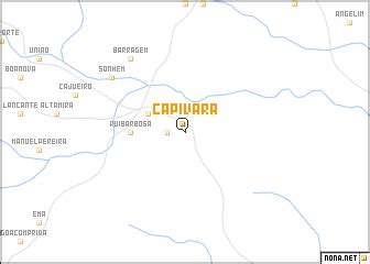 Capivara Brazil Map