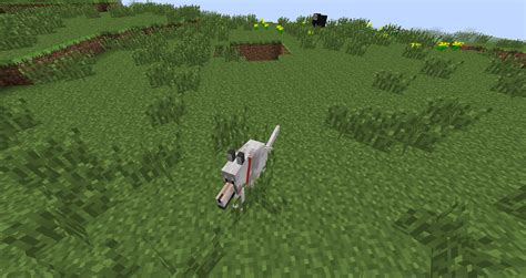 Messed Minecraft Glitch Survival Mode Minecraft Java Edition