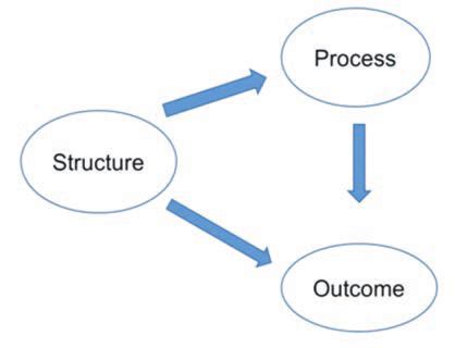 Structure Process And Outcome Concept Download Scientific Diagram