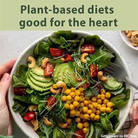 Plant Based Diets Good For The Heart Consumers Association Penang