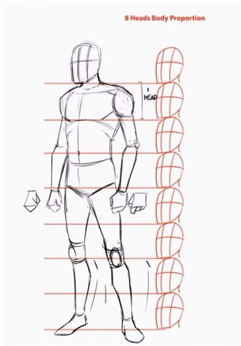 How To Draw A Human Body Proportions