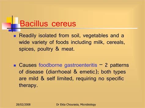 Ppt Bacillus Powerpoint Presentation Free Download Id2734229