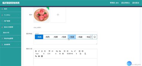 Java毕设项目临沂旅游咨询系统（javavuemybatismavenmysql） Csdn博客