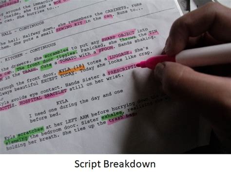 Emotional Arc Breaking Down Your Screenplay Filmmakers Academy