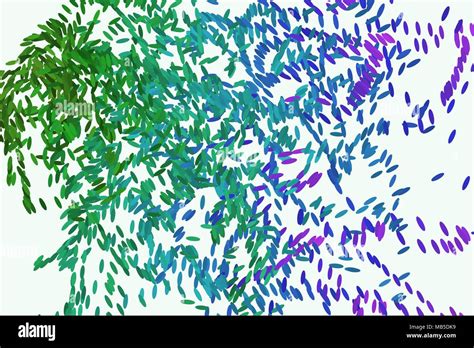 Abstract Conceptual Motion Particle Or Random Pattern Good For Web Page Graphic Design