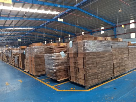 CÔNG TY CỔ PHẦN BAO BÌ ĐÔNG NAM VIỆT