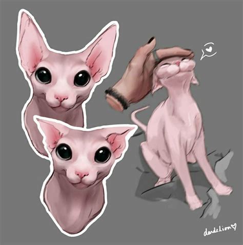 Two Sphydrah Cats Sitting Next To Each Other On Top Of A Gray Surface