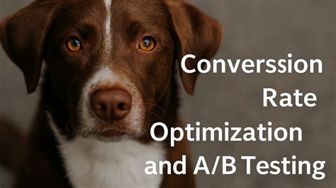Optimizing For Good How Cro And Ab Testing Can Help The Whatcom
