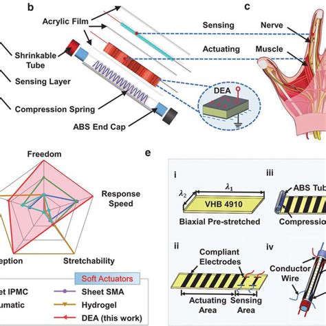 Pdf Electroactive Polymer Based Soft Actuator With Integrated Functions Of Multi Degree Of