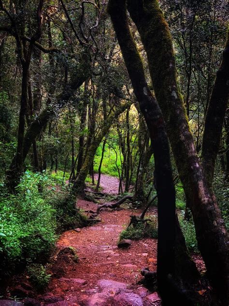 Codimite On Linkedin Annualtrip2024 Codimitetrip Annualtrip