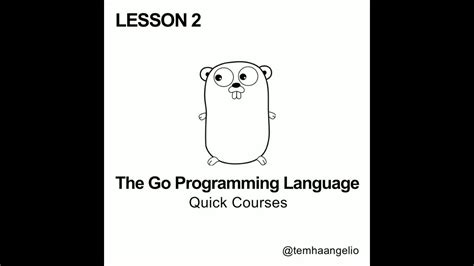 Golang Lesson 2 Variables The Go Programming Language Quick