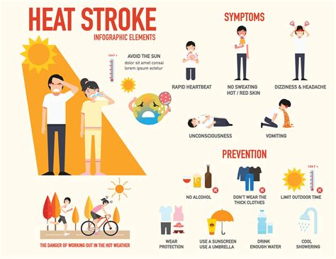 Heat Stroke Symptoms And Prevention Infographic Risk Stock Vector Riset