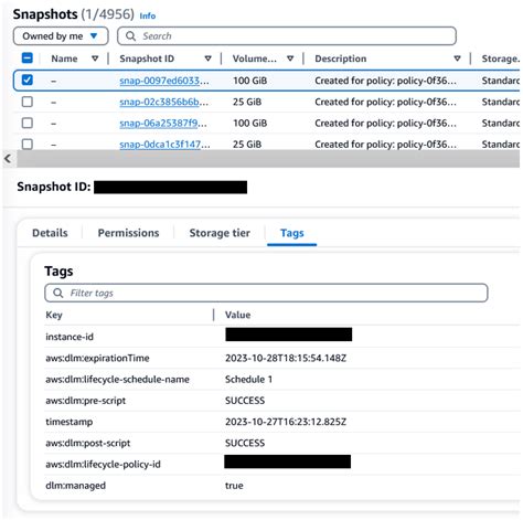 automating application consistent amazon ebs snapshots for sap hana