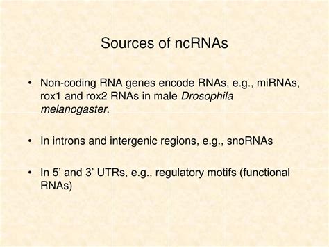 Ppt C Omputational Ncrna Gene Finding And Nc Rna Structure Prediction Powerpoint Presentation