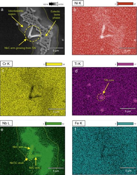 A Scanning Electron Microscope Micrograph Indicating The Presence Of Download Scientific
