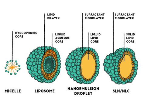 Science For Product Makers The Difference Between Micelles Emulsions