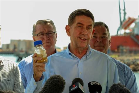 Qld Government Announces 10m Vanadium Processing Plant Wattlestone