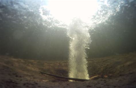 Full Service Lake Management Clean Flo