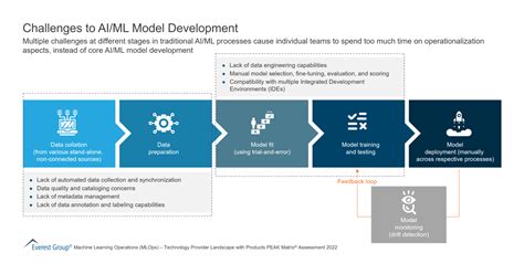 Challenges To Aiml Model Development Market Insights™ Everest Group