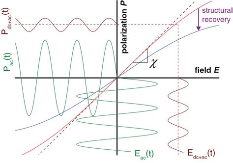 linear dashed and nonlinear solid susceptibilities in a p versus e