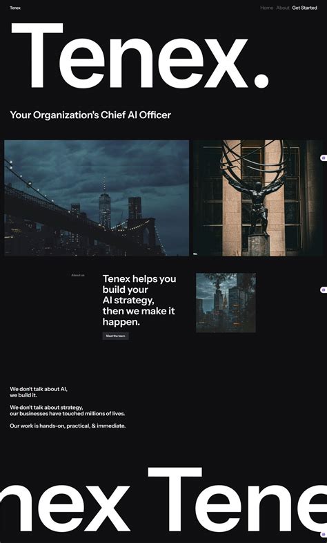 Tenex Homepage Swipefile