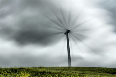 infrasound ‘a huge threat to the entire biodiversity says doctor