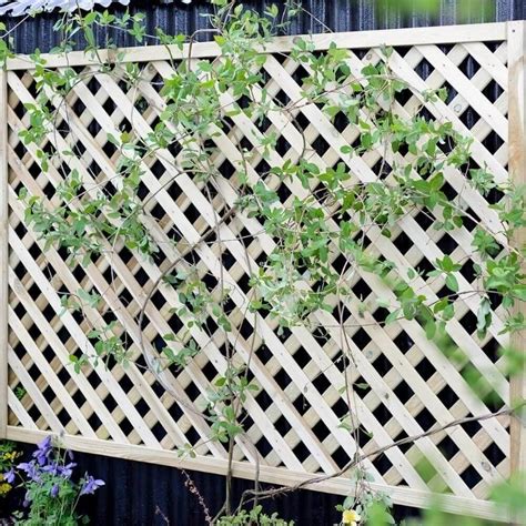 Garden Trellis Panels Fencing Essentials