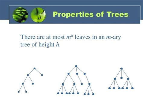 discrete mathematics tree