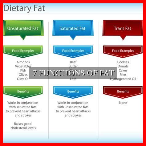 7 Functions Of Fat Wadaef