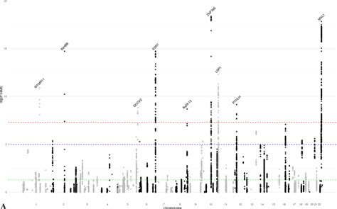Manhattan Like Plots Showing The Association Between Genome Wide Download Scientific Diagram
