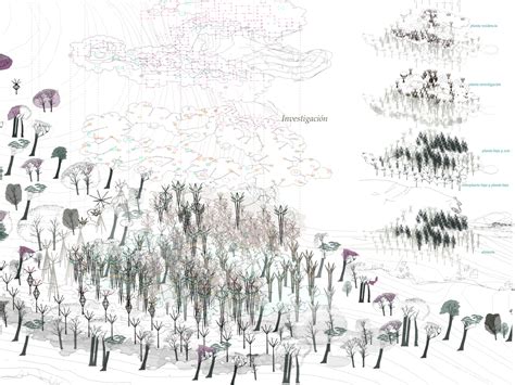 Forest Structure System By Adesignland On Dribbble Forest Structure System By Adesignland On Dribbble