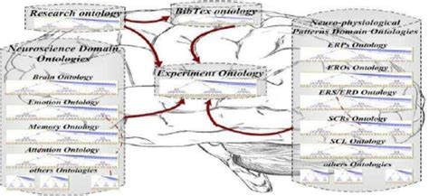 The Schema Of The Proposed Theoretical Framework Download Scientific