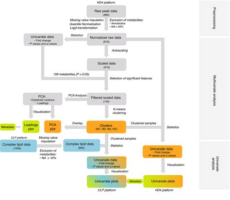 Explorative Data Analysis EDA Strategy In Data Preprocessing The Download Scientific