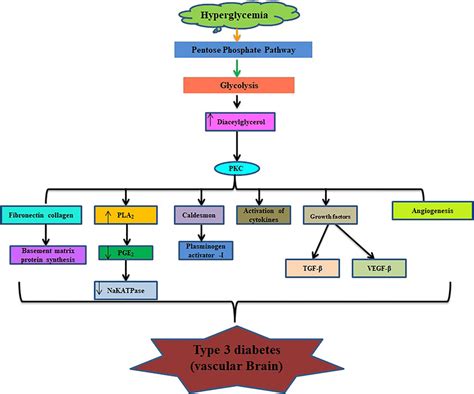 Role Of Glucose In Vascular Part Of Brain Download Scientific Diagram