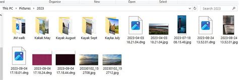 Dng Files Not Displaying Thumbnail Windows 10 Forums
