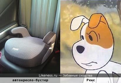 Забавные сходства: похожие знаменитости, звёзды-двойники и известные ...