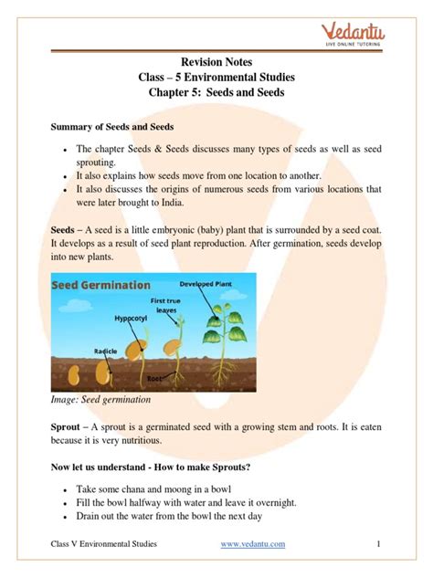 Seeds And Seeds Class 5 Notes Cbse Evs Chapter 5 Pdf Pdf Seed Vegetables