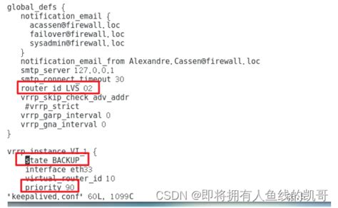 高效多用的群集之部署lvskeepalived 高可用群集（dr模式）lvs Keepalived Ipv6 Csdn博客