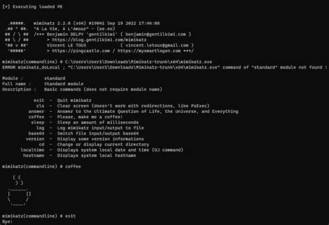 not capturing stdout stderr · issue 10 · nettitude runpe · github