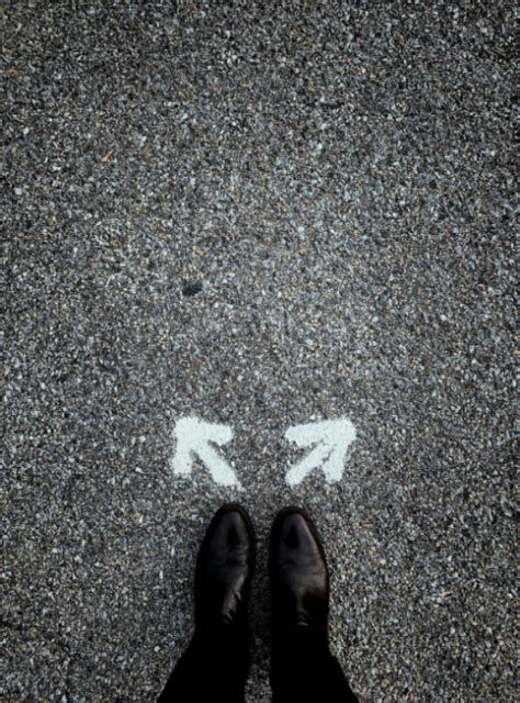 Vector Software Comparison Illustrator Vs Inkscape