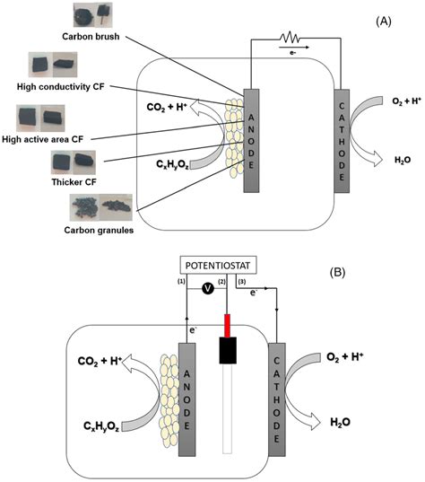 Schematic Diagram Of A Microbial Fuel Cell Employing An External